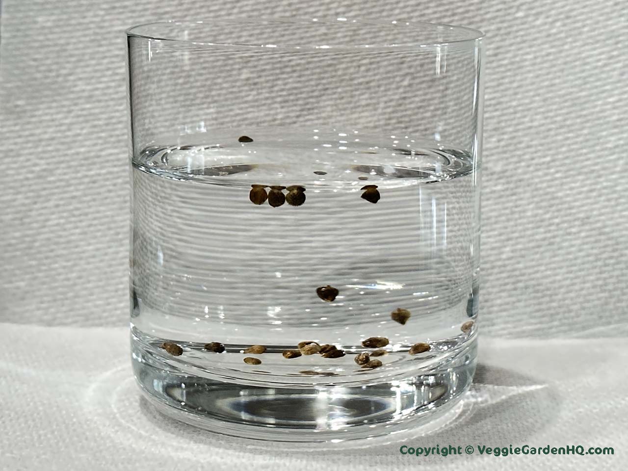 Save and Store Seeds for Future Gardens